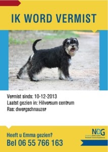 Vermist – Dierenkliniek Den Otter